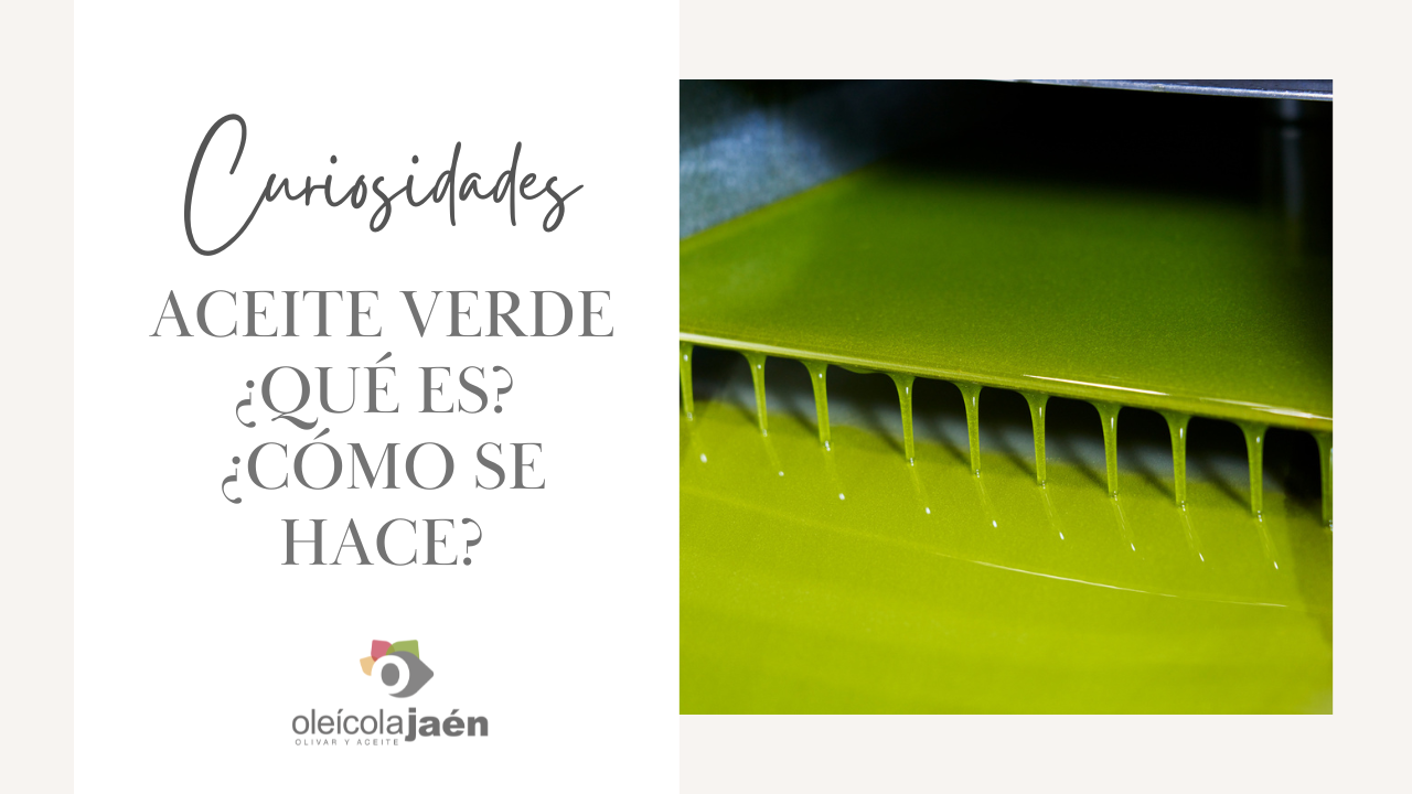 ¿qué es el aceite verde? - Oleícola Jaén