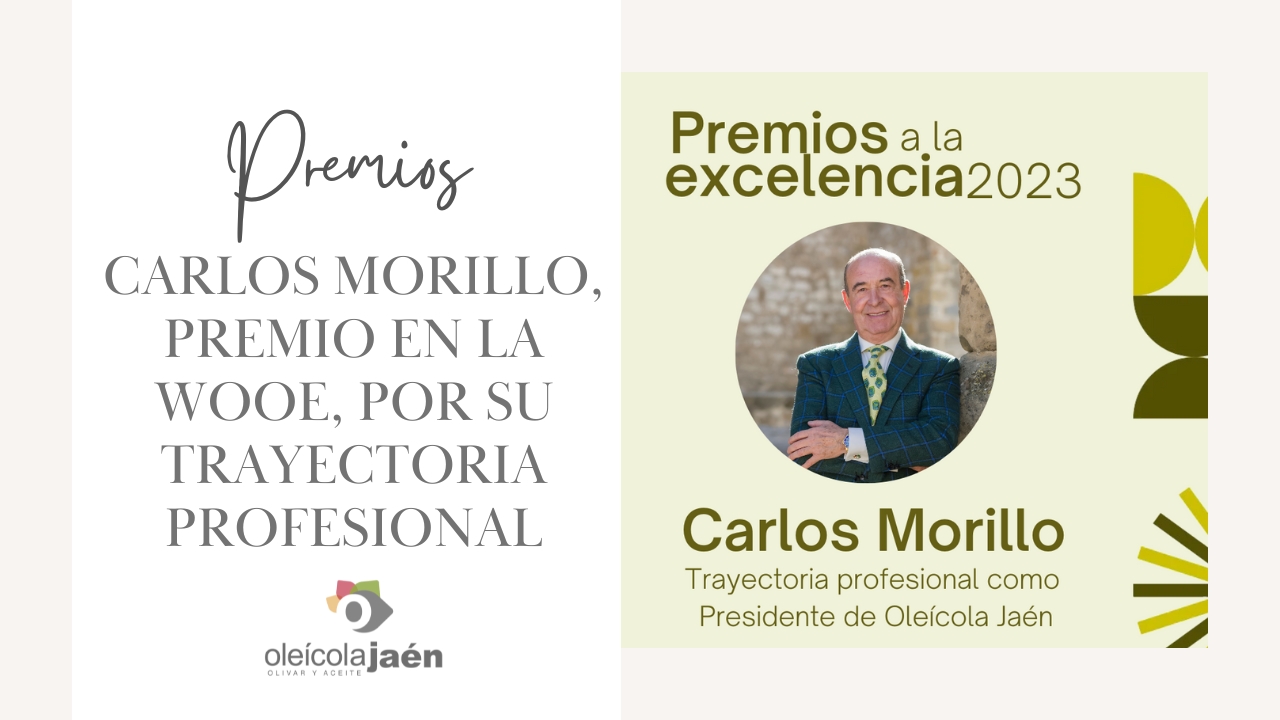 CARLOS MORILLO, premiado por su trayectoria profesional